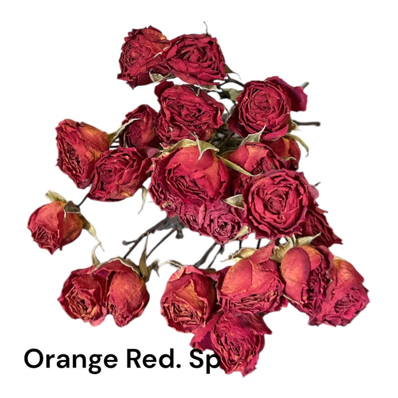 Dried Rose Bunch: Natural Red Roses, Home Decor, Wedding Flowers - Etsy