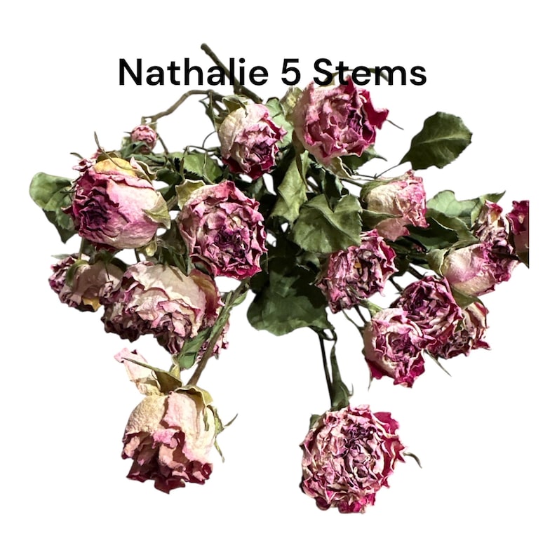 Dried Rose Bunch: Natural Red Roses, Home Decor, Wedding Flowers - Etsy