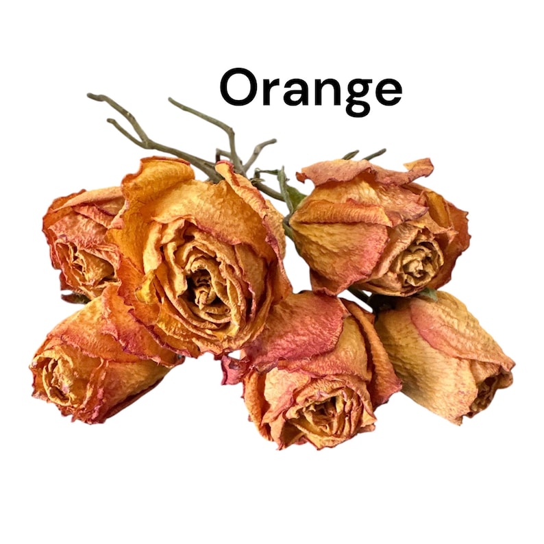 Dried Rose Bunch: Natural Red Roses, Home Decor, Wedding Flowers - Etsy