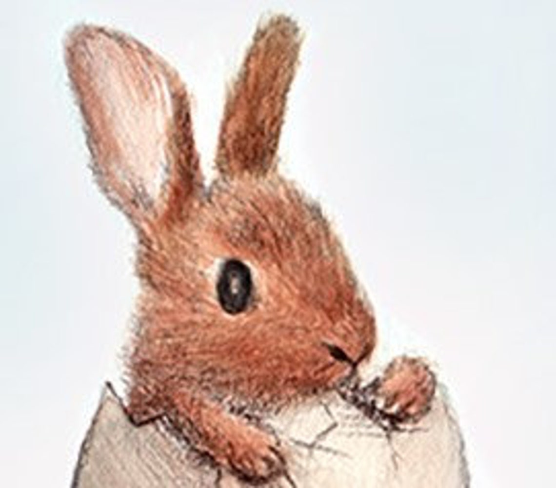 Printable Digital Download Rabbit Illustration - Etsy