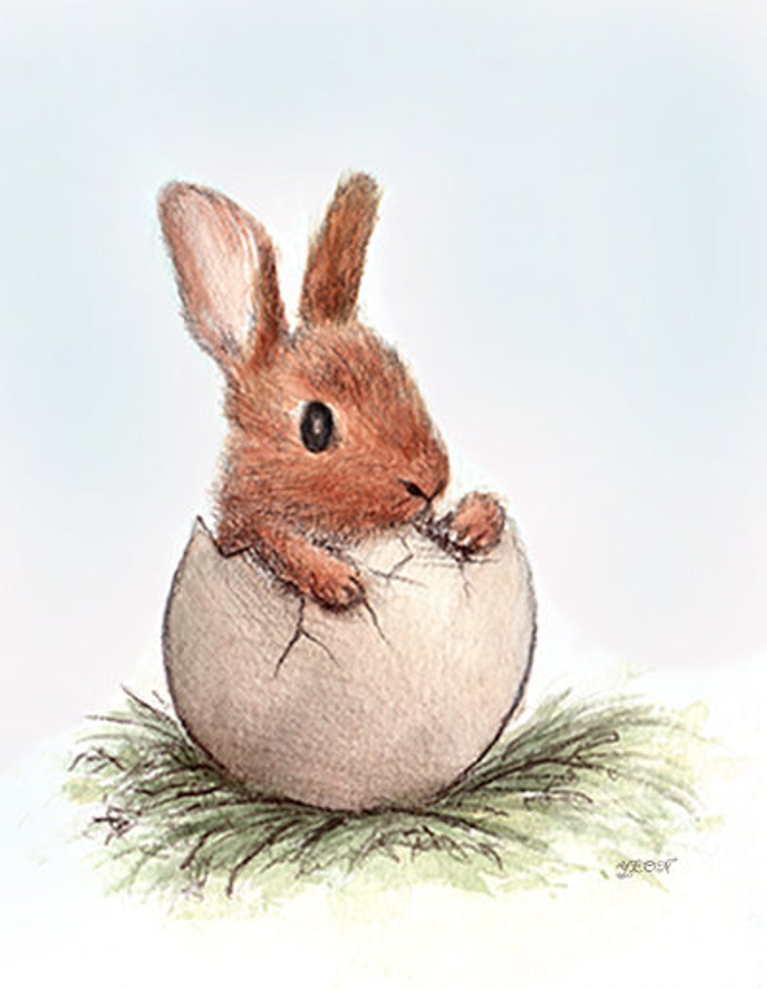 Printable Digital Download Rabbit Illustration - Etsy