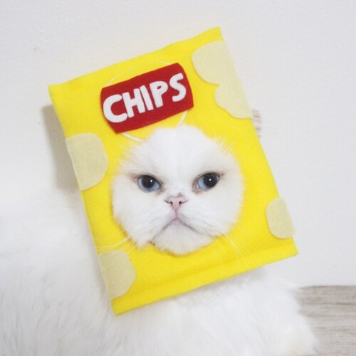 Cheeseburger Pet Hat Costume for Cats Small Dogs in Soft - Etsy