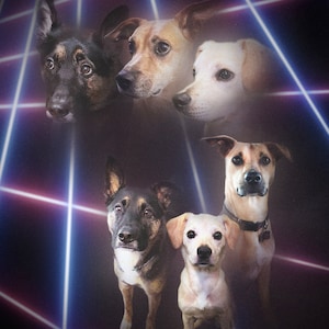 Custom 80's Retro Pet Portrait - Multiple Pets Double Exposure ...