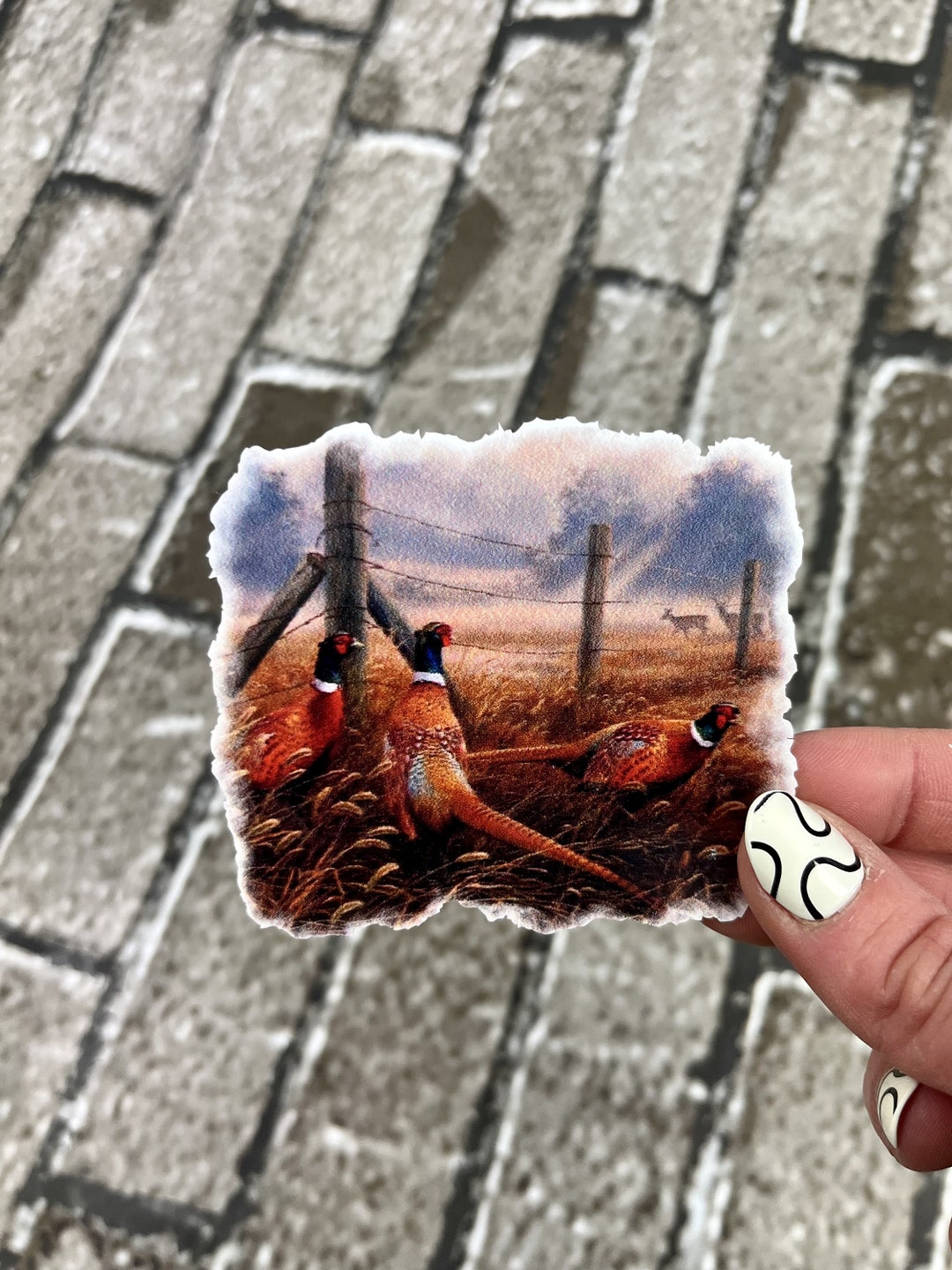Pheasant Hunting Sticker | Vinyl Sticker | Pheasant Sticker | Pheasants ...