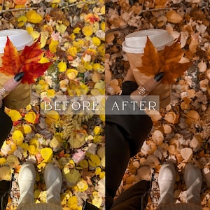 Bookstagram Cozy Academia Lightroom Presets | Dark Academia | Light ...