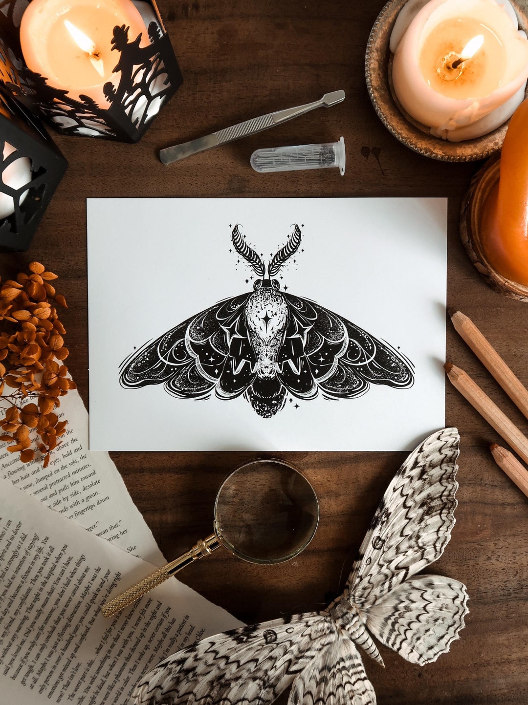 All Hallows Moth Gothic Print | Dark Art | Moth Illustration ...