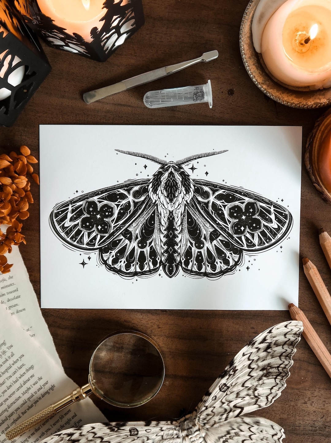 Cloister Moth Gothic Print Dark Art Moth Art Gothic Architecture Wall ...