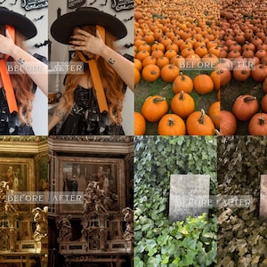 Bookstagram Cozy Academia Lightroom Presets | Dark Academia | Light ...