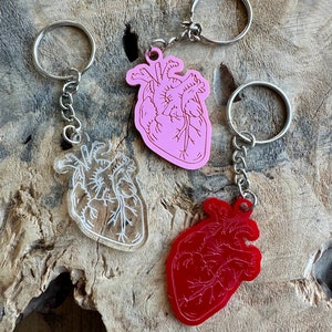 Anatomical Heart Keychain / Engraved Human Heart Keychain / Acrylic ...