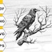 Raven Svg. Raven Silhouette Cut Files. Raven Clipart. Raven on Tree ...