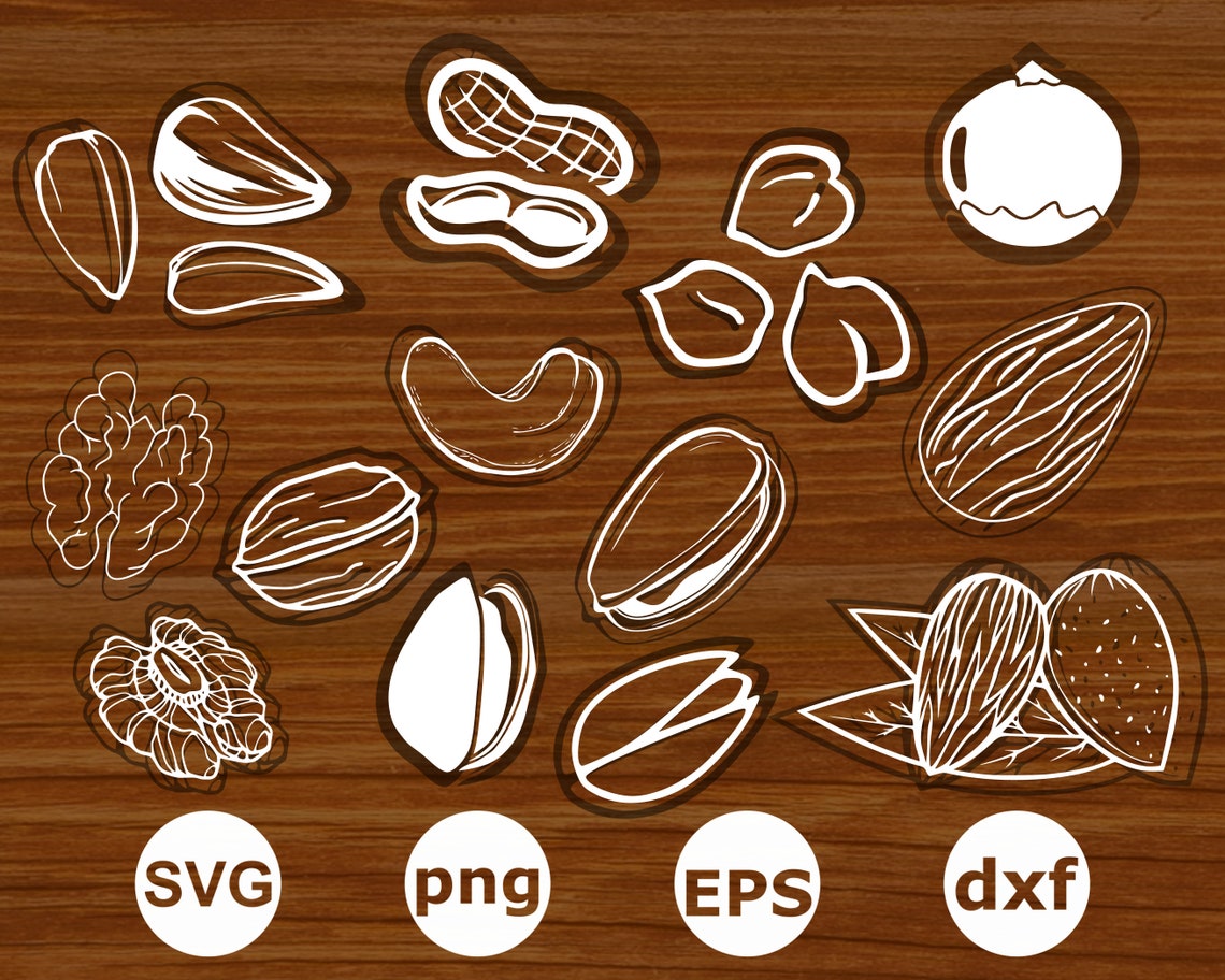 Nuts svg . Nuts silhouette . Nuts cut files . Nuts clipart . | Etsy