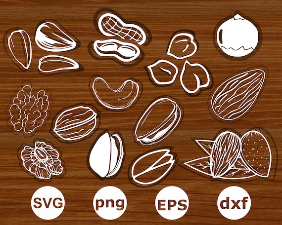 Nuts Svg . Nuts Silhouette . Nuts Cut Files . Nuts Clipart . - Etsy