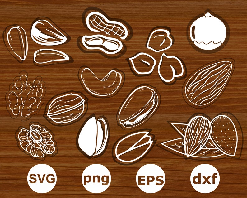 Nuts Svg . Nuts Silhouette . Nuts Cut Files . Nuts Clipart . - Etsy