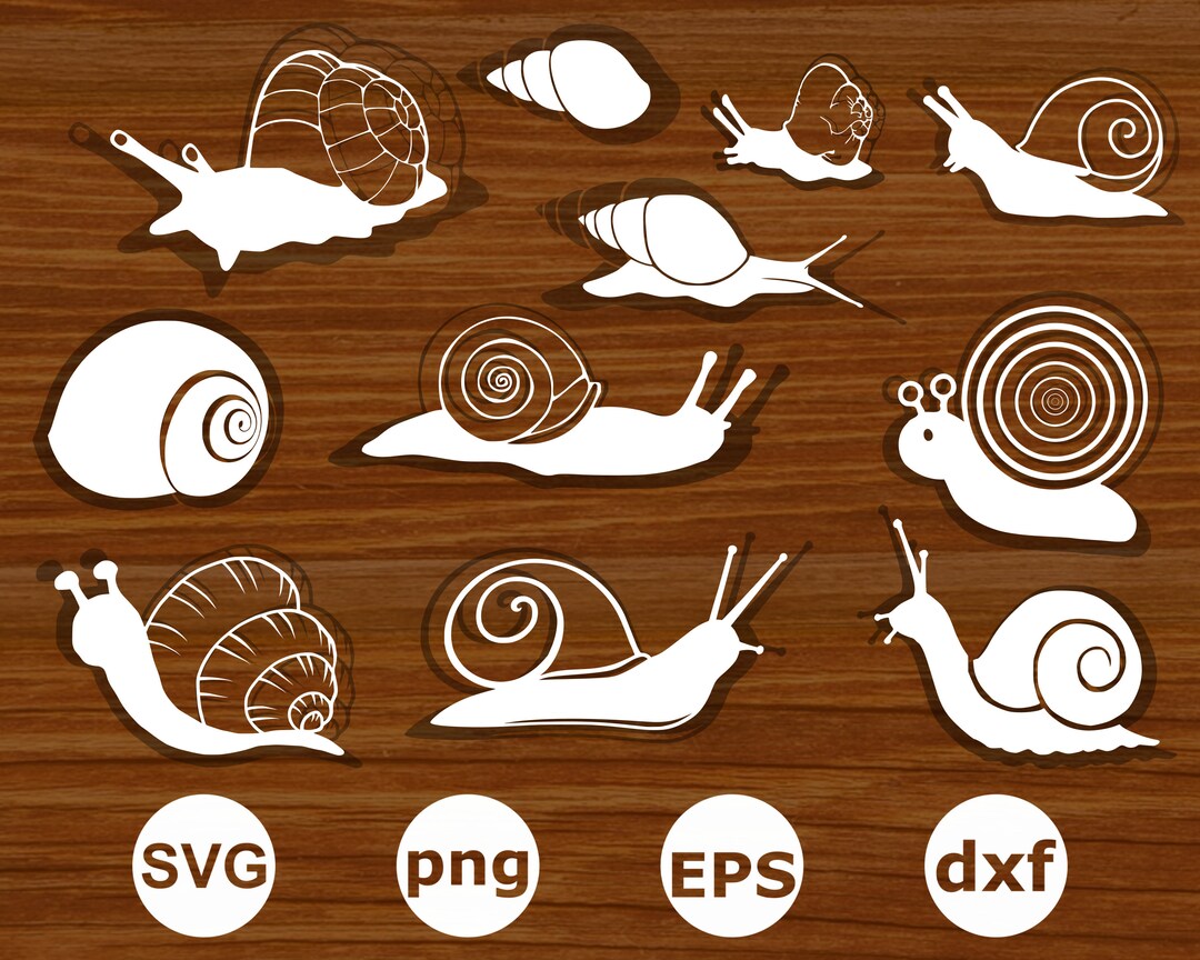 Snail Svg. Snail Silhouette. Snail Clipart. Snail Svg Bundle. Snail Cut ...