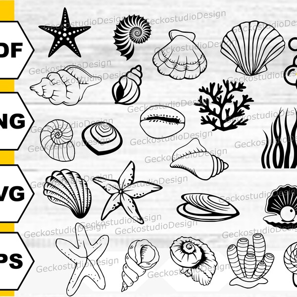 Sea Shell Svg - Etsy