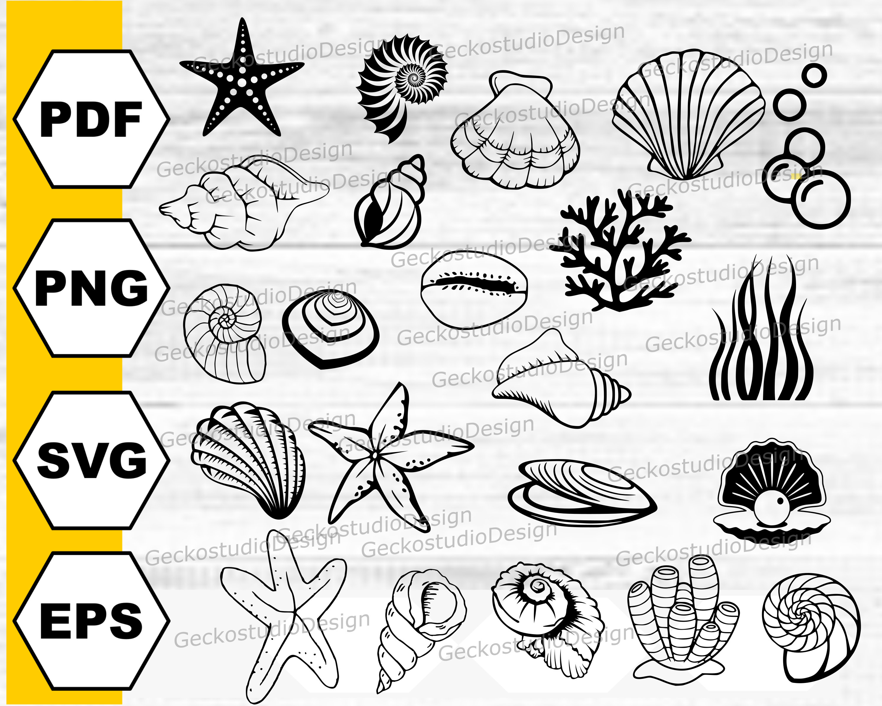 Seashell Svg. Sea Shells Svg. Ocean Svg. Shells Svg. Sea Cut | Etsy