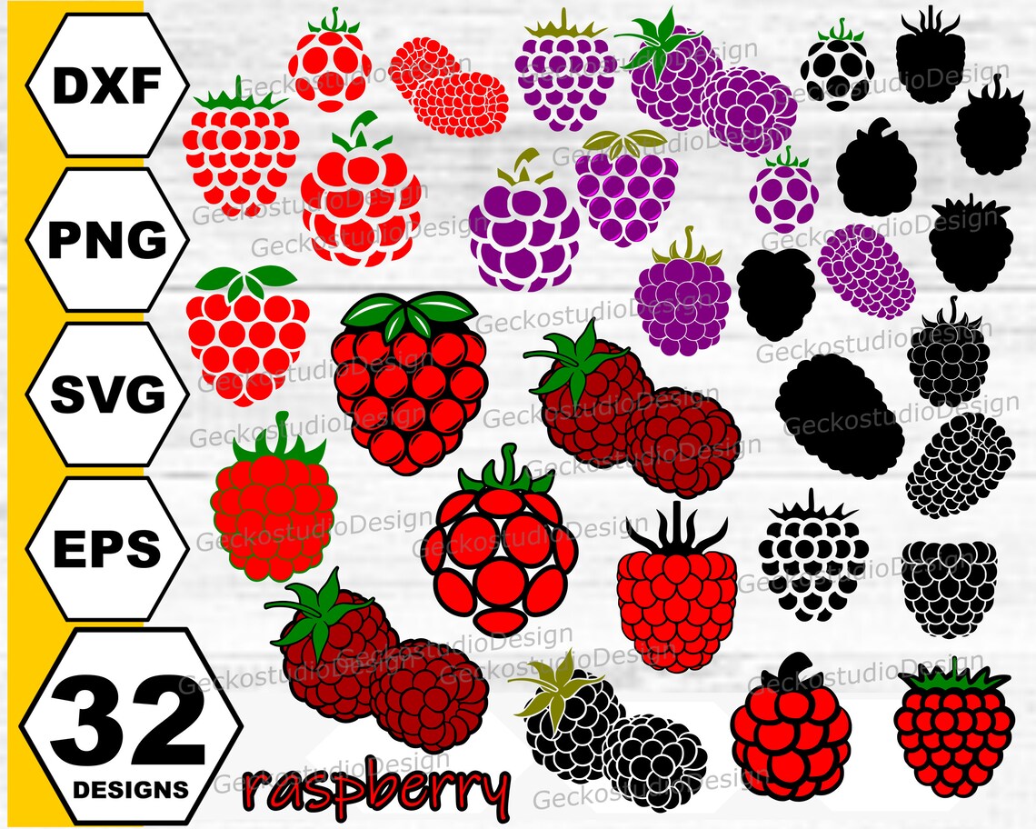 Raspberry Svg . Raspberry Clipart .burgundy Raspberry . Hand - Etsy