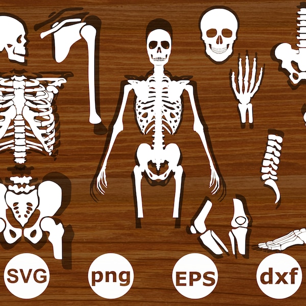 Skeleton Svg - Etsy