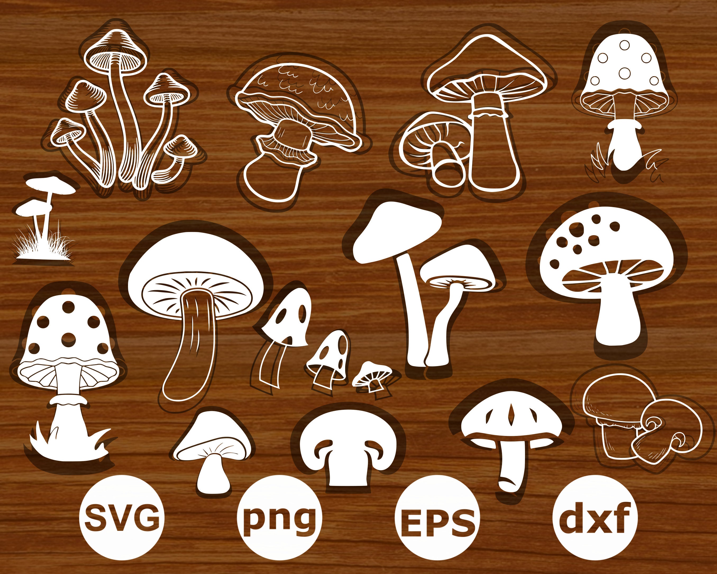 Champignon champignon champvg setas svg. Archivo cortado de setas ...