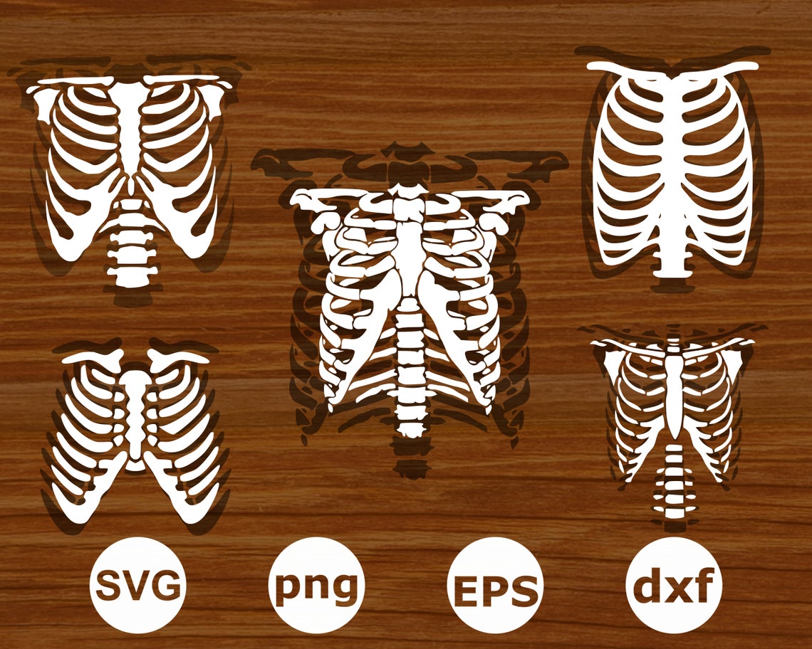 Human Rib Cages Svg. Rib Cage Svg. Rib Cage Silhouette. Rib - Etsy