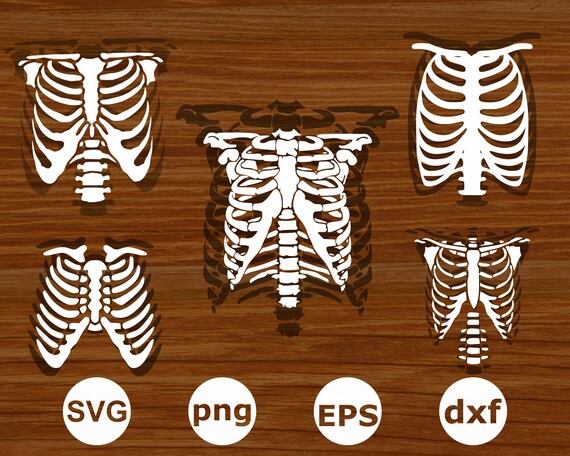 Human Rib Cages Svg. Rib Cage Svg. Rib Cage Silhouette. Rib - Etsy Finland