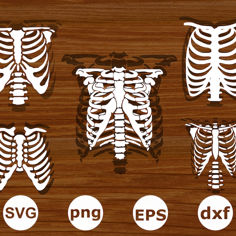 Rib Cage - Etsy