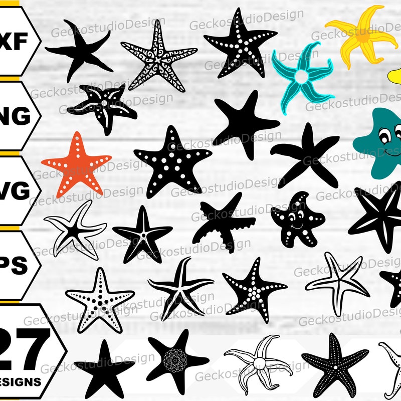 Starfish Svg - Etsy