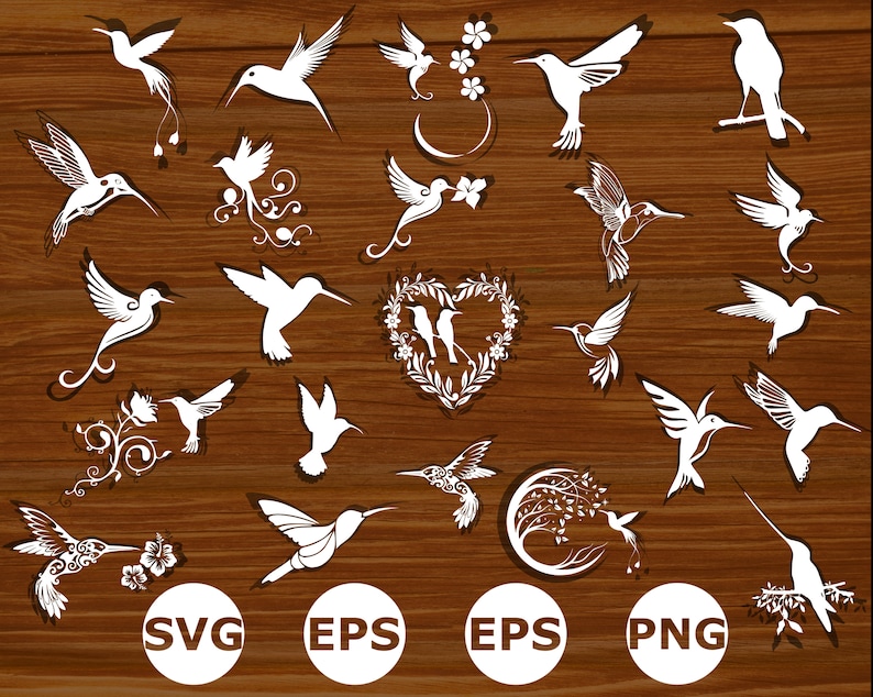 Hummingbird Svg . Hummingbird Silhouette. Hummingbird Vector . - Etsy