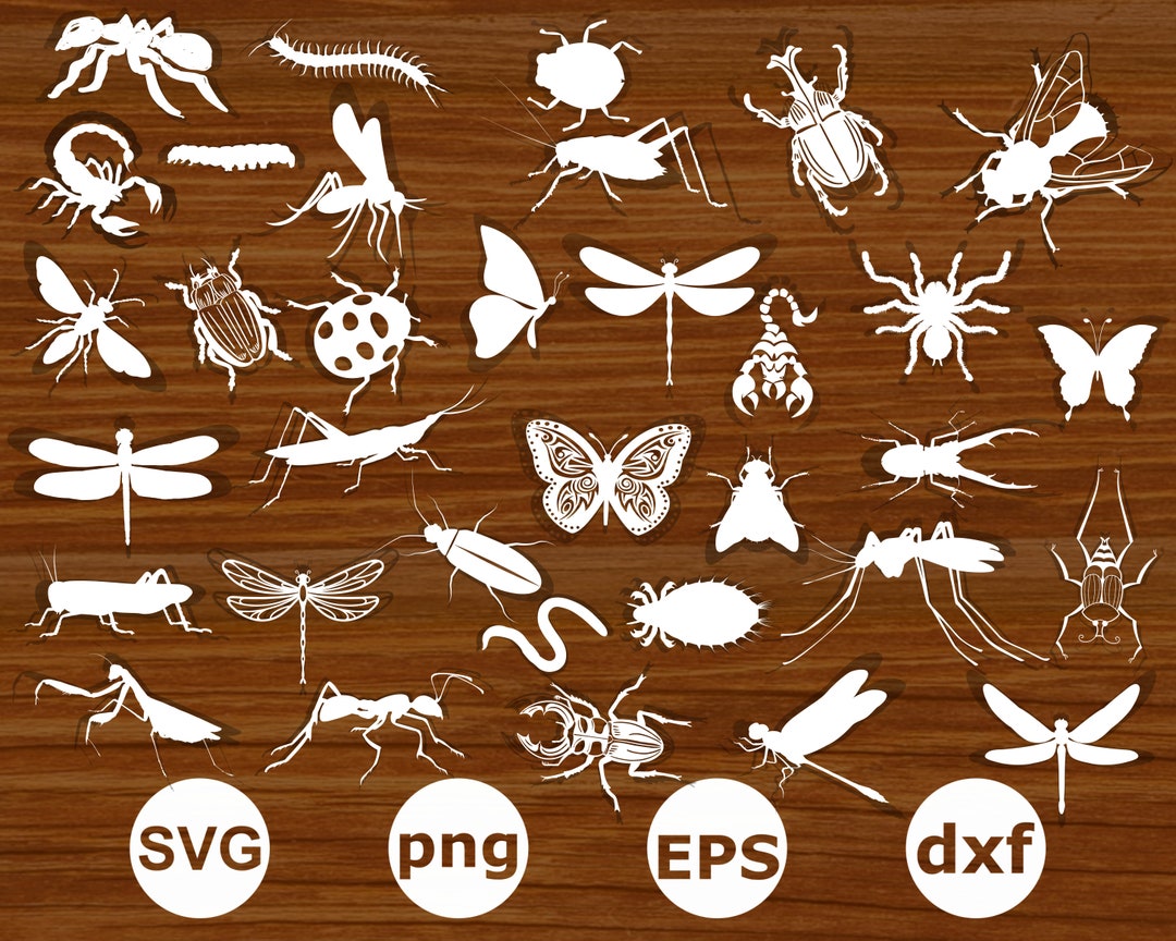 Insect Svg. Insect Svg Bundle. Insect Silhouette. Insect Cut Files ...