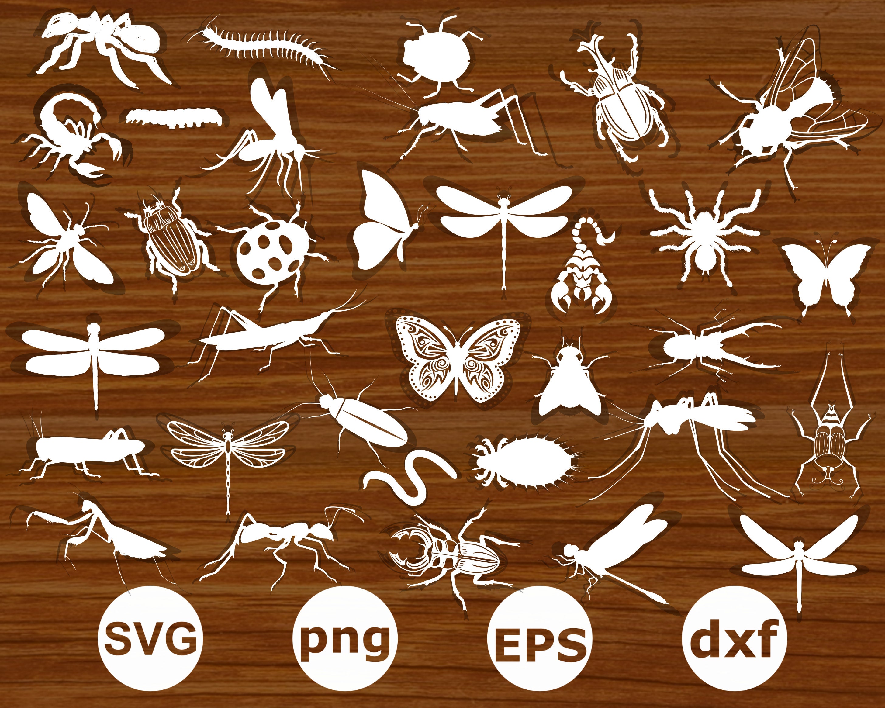 Svg de insectos. Paquete svg de insectos. silueta de insectos. - Etsy ...