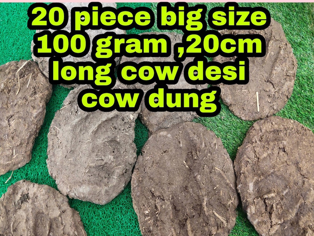 Buy Organics Original Desi Cow Dung Cake for Hawan Puja, Pujan ...