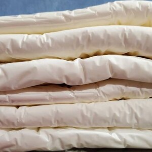 ABDL Rearz Inspire (2) Pack Large Thick Over Night Diapers With Cute ...