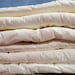 ABDL Rearz Inspire 2 Pack Large Thick Over Night Diapers With Cute ...