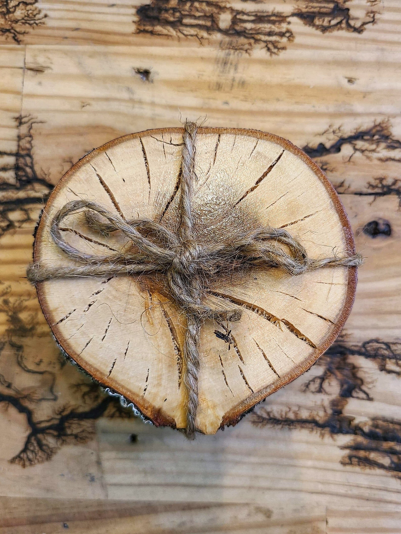 Live Edge Log Coasters | Wood Log Coasters | Rustic Log Coasters | Lake ...