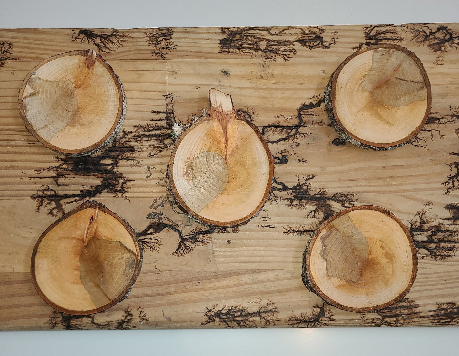 Live Edge Log Coasters | Wood Log Coasters | Rustic Log Coasters | Lake ...
