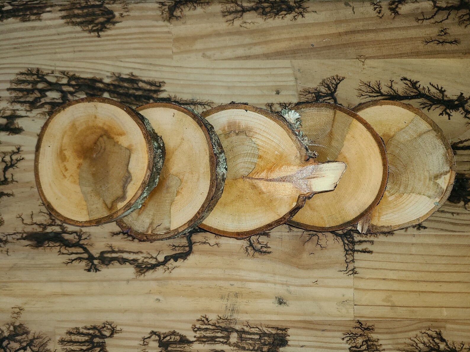 Live Edge Log Coasters | Wood Log Coasters | Rustic Log Coasters | Lake ...