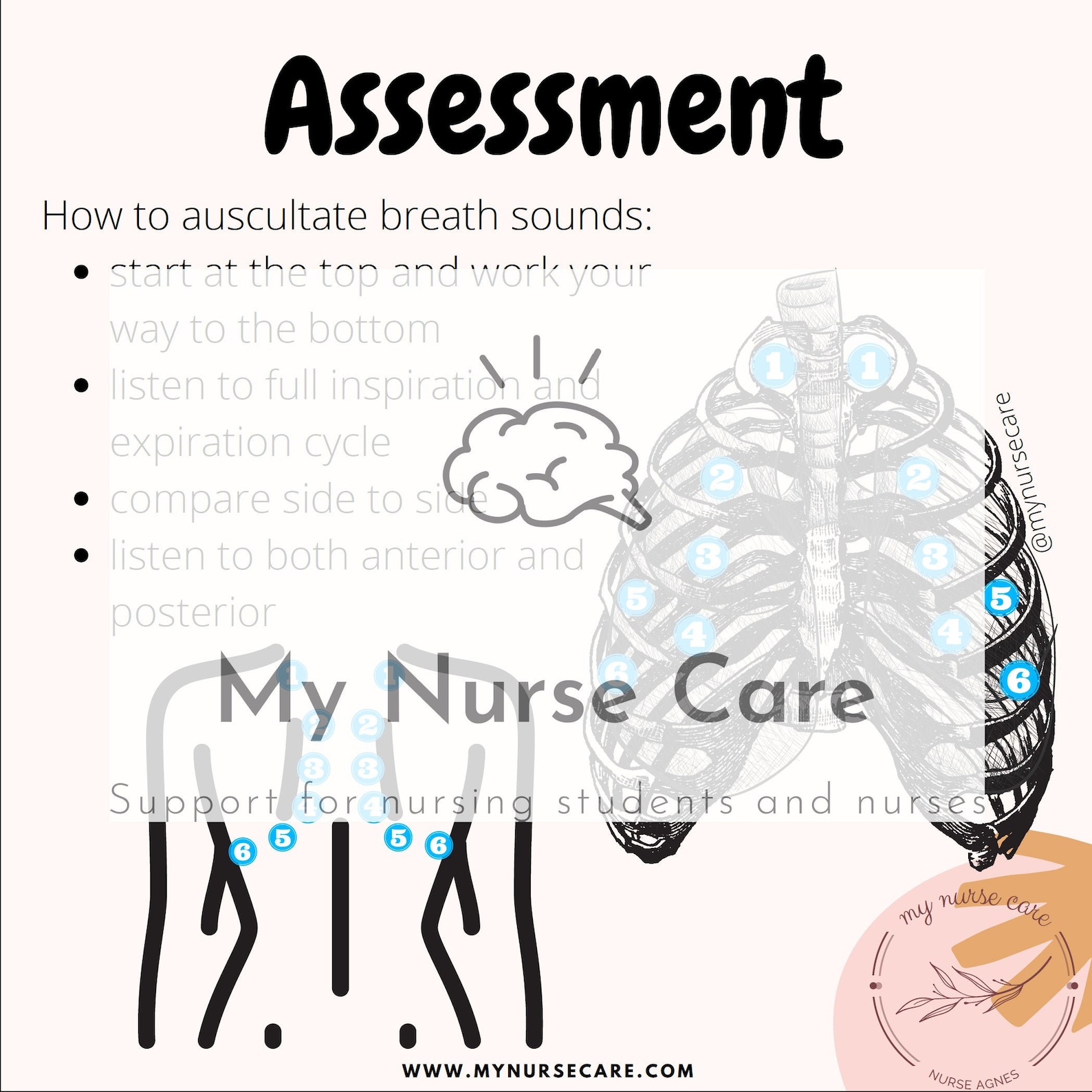 Lung Assessment and Adventitious Breath Sounds Cheat Sheet - Etsy