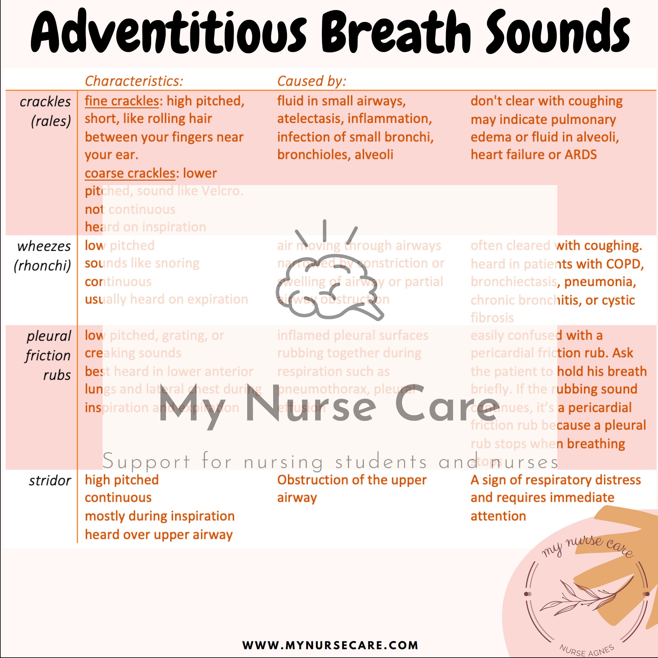 Lung Assessment and Adventitious Breath Sounds Cheat Sheet - Etsy