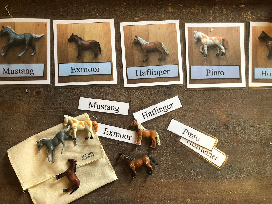 Montessori Tarjetas de Nomenclatura con Objetos Caballo - Etsy España