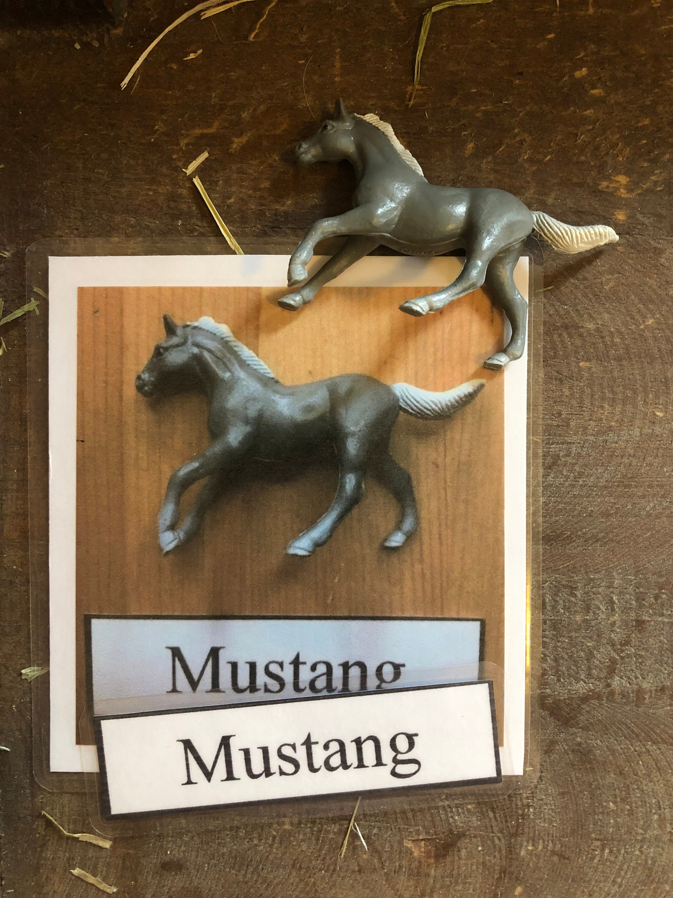 Montessori Tarjetas de Nomenclatura con Objetos Caballo - Etsy España