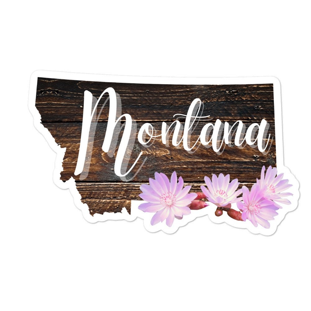 Montana State Flower Sticker, Montana Bitterroot Sticker, Montana ...