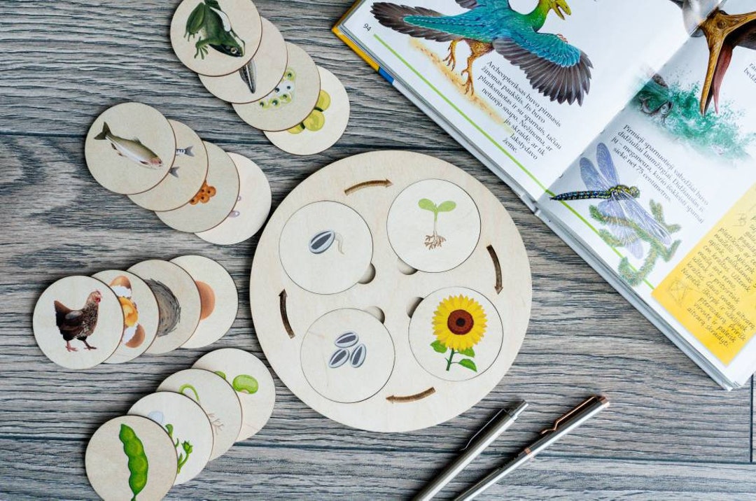 Wooden Puzzle Montessori Biology Science Education Gifts for Kids Chore ...