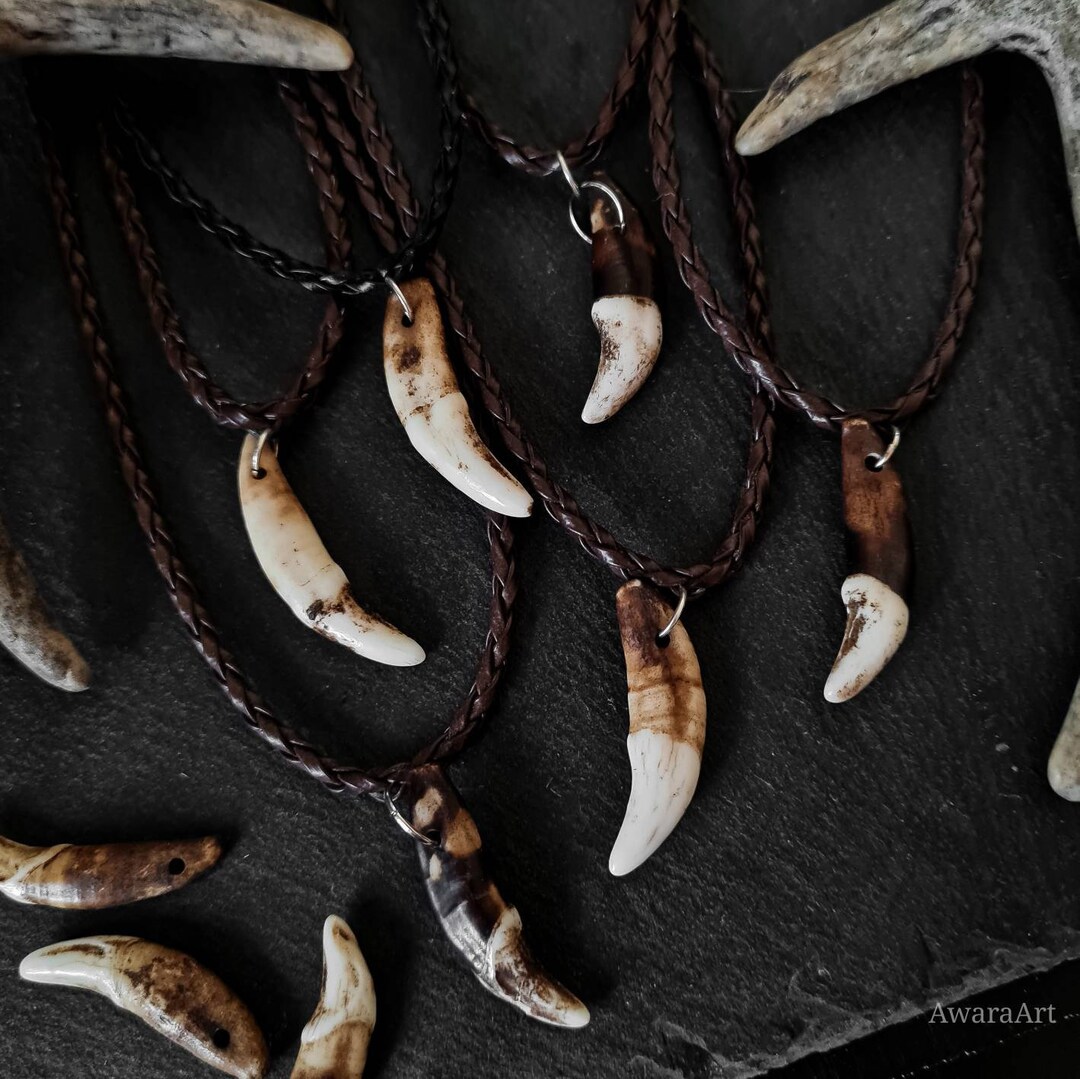 Coyote Fang Talisman Necklace: Natural Bone, PU Leather Cord - Etsy
