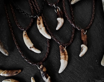 Wolf Fang Necklace - Etsy