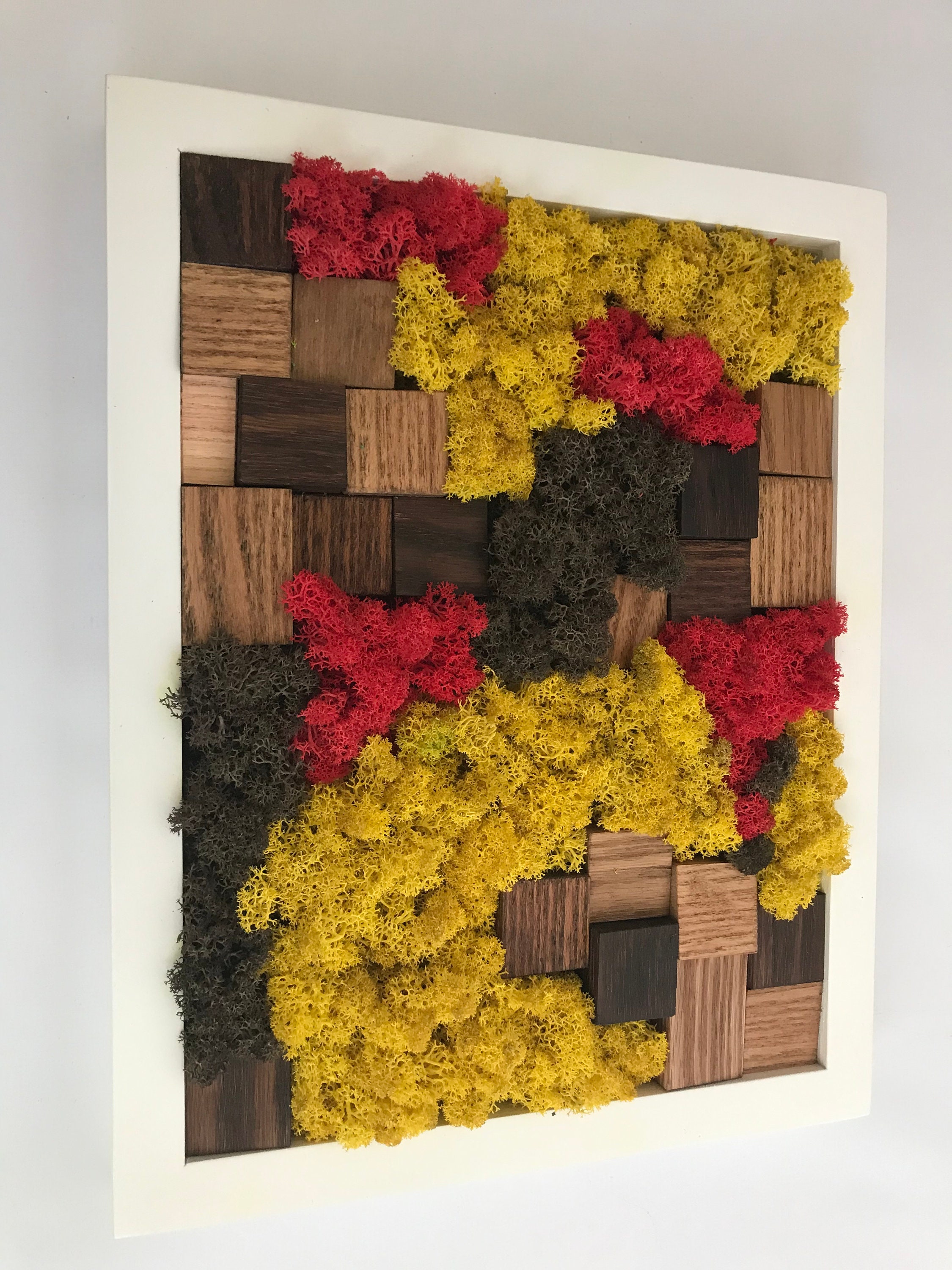 Wooden Moss Panel Moss Wall Art Living Moss Wall Preserved - Etsy