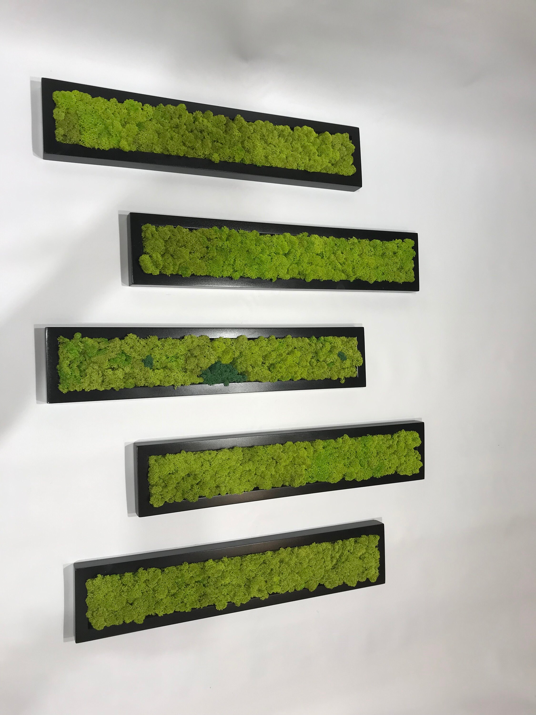 Wooden Moss Panel - Moss Wall Panels - Moss Wall Art - Living Moss Wall ...
