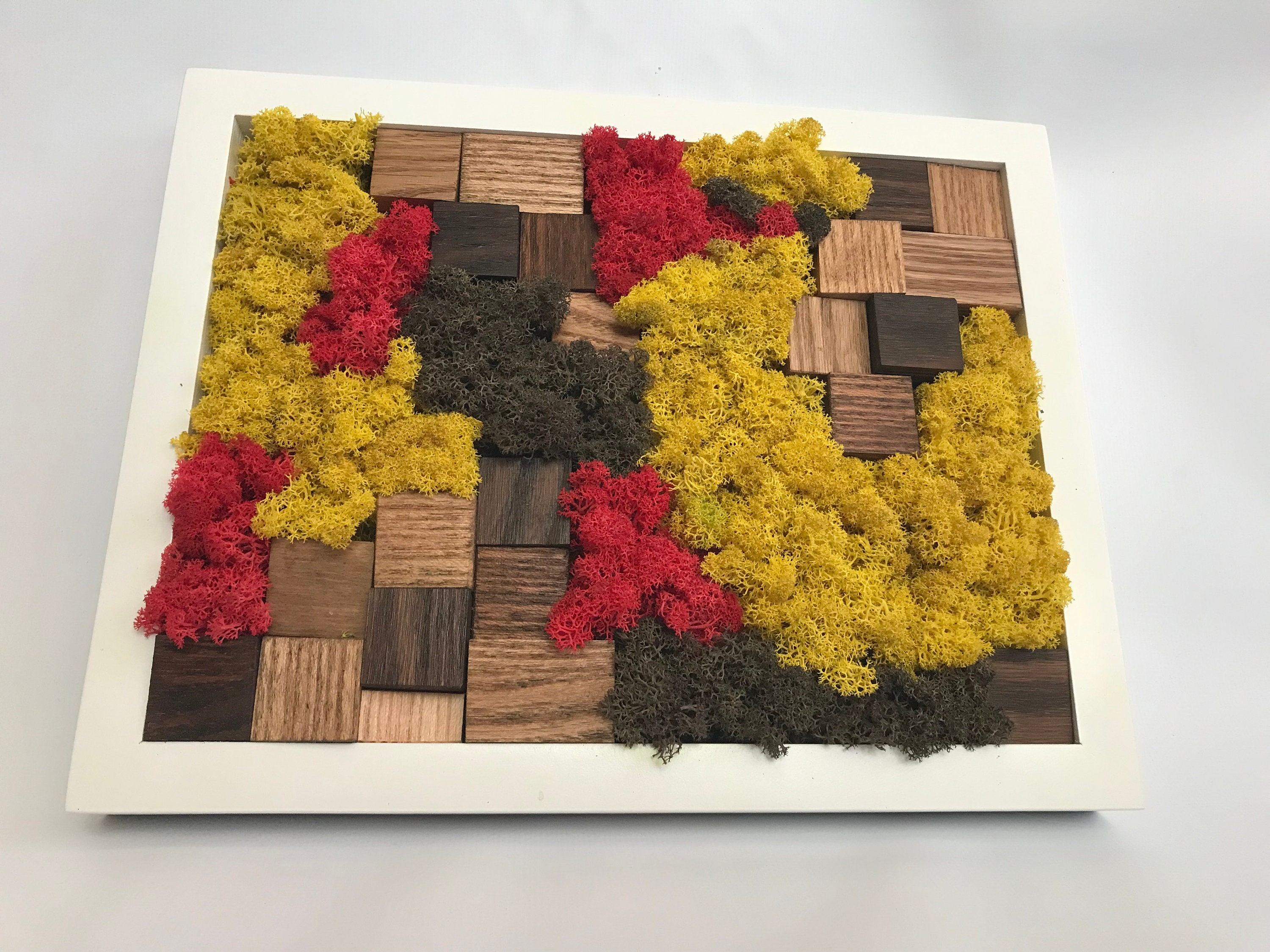 Wooden Moss Panel, Moss Wall Art, Living Moss Wall, Preserved Moss Wall ...