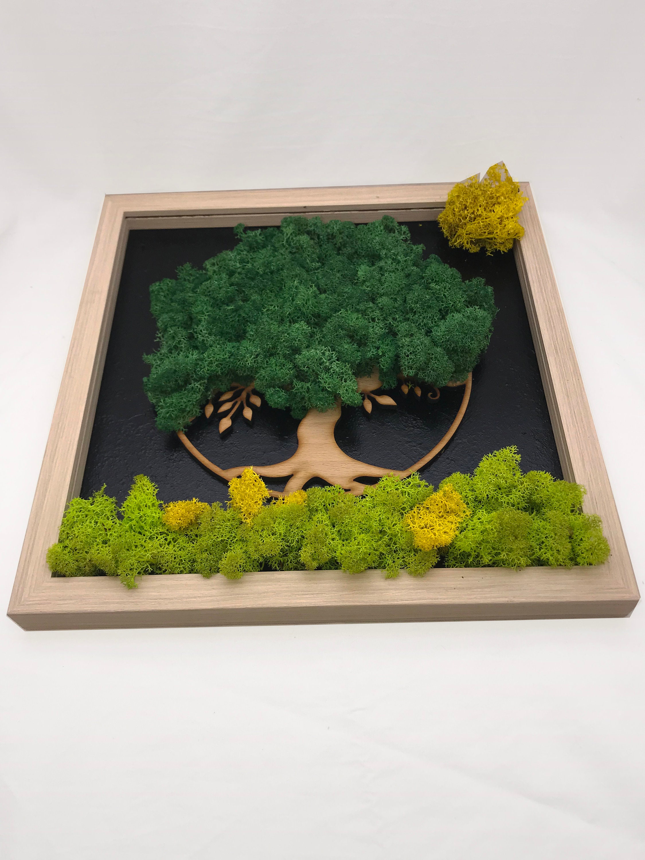 Tree of Wife With Moss, Natural Life Decor, Outdoor Live Decor ...