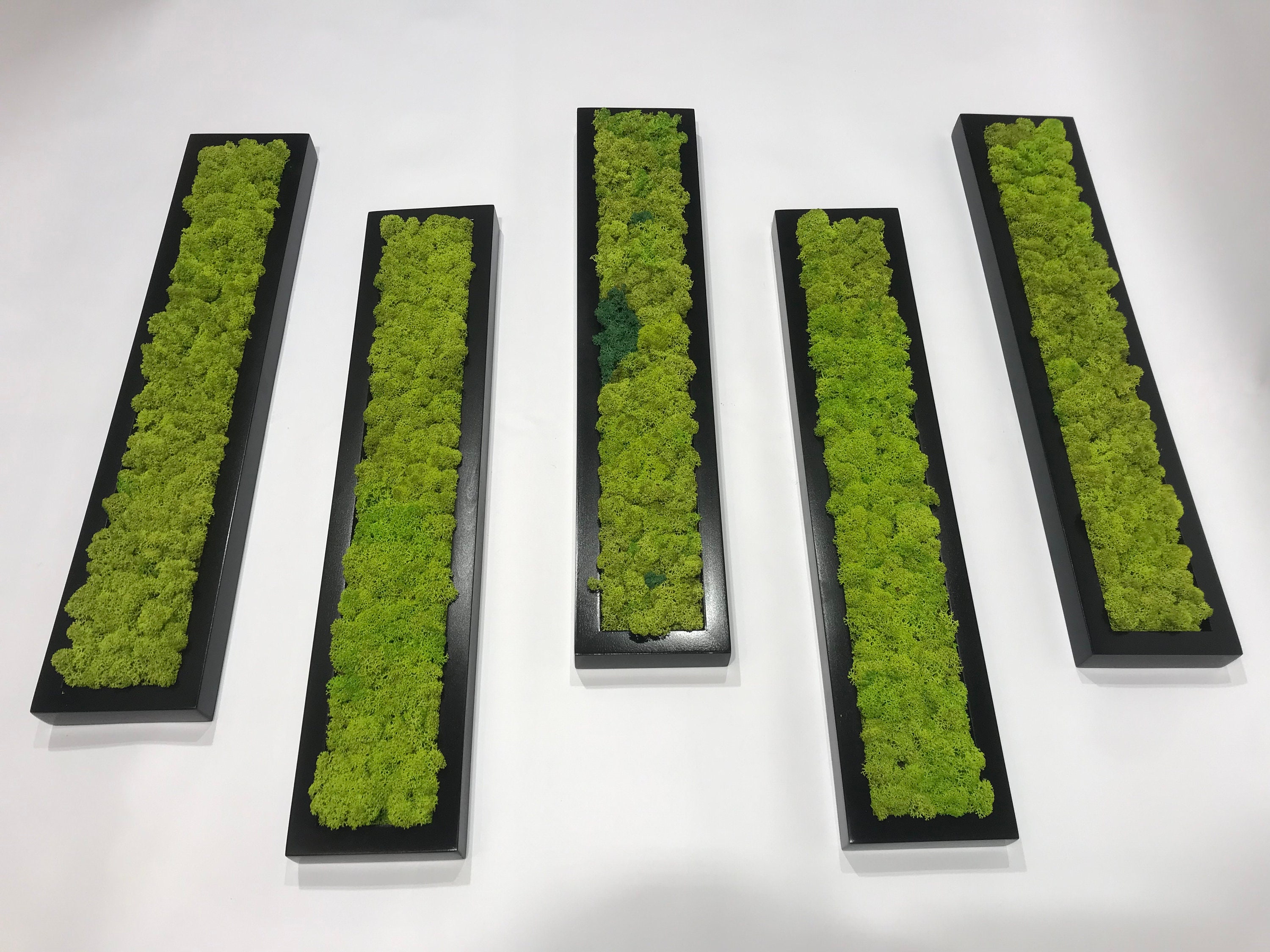 Wooden Moss Panel - Moss Wall Panels - Moss Wall Art - Living Moss Wall ...