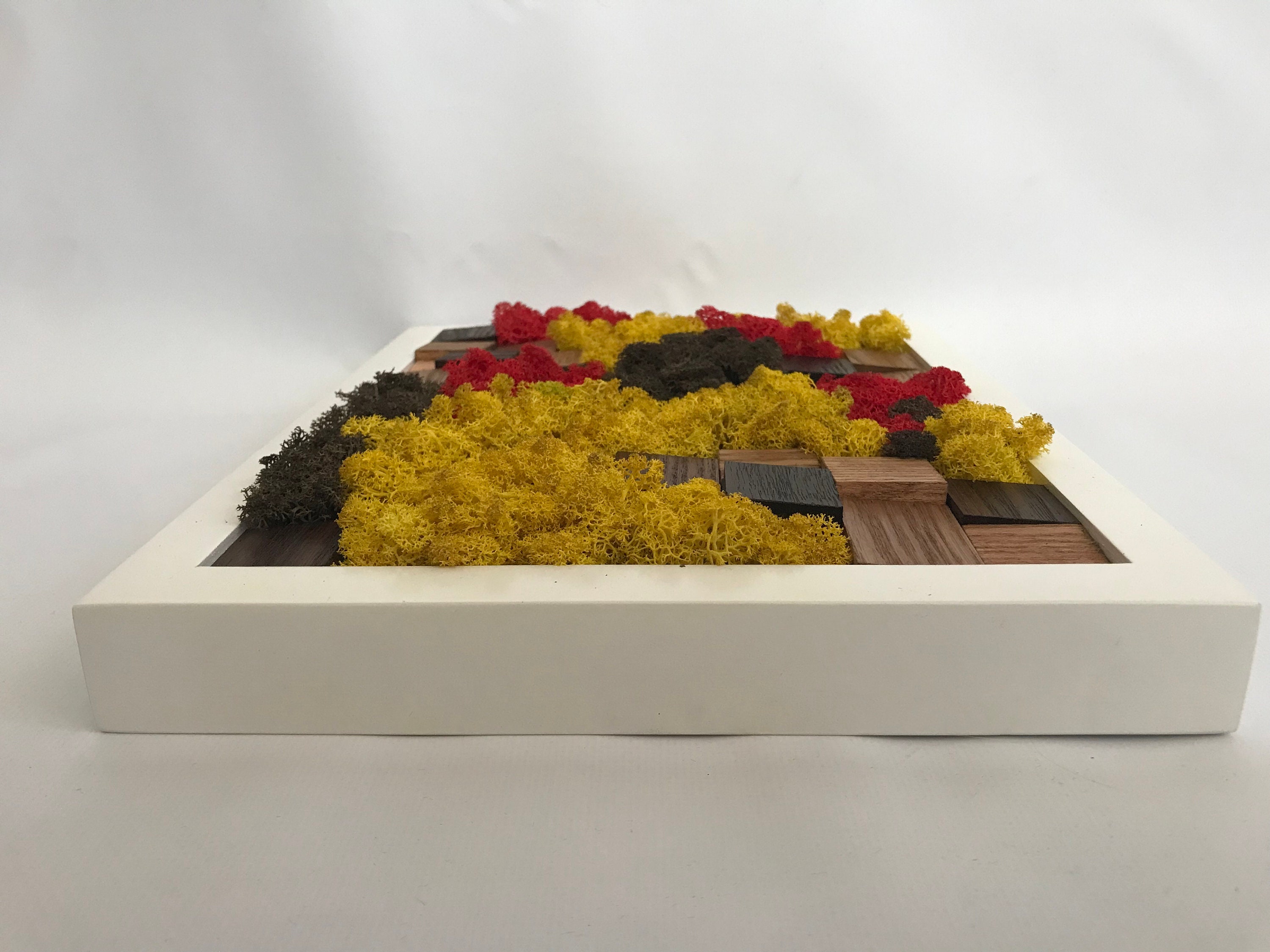 Wooden Moss Panel Moss Wall Art Living Moss Wall Preserved - Etsy